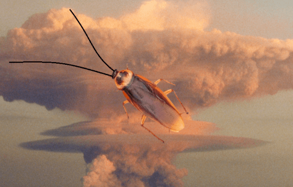 Born In The Darkness: 17 Cockroaches Hatched in Nuclear Winter That ...
