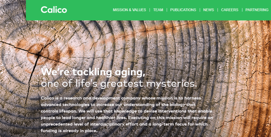 The Future Of Aging? The New Drugs & Tech Working To Extend Life & Wellness - CB Insights Research