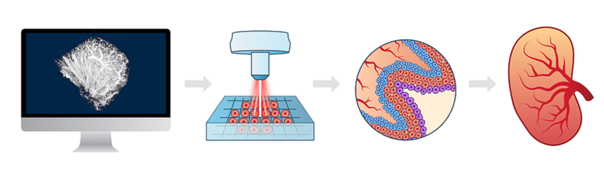 The Future Of Aging? The New Drugs & Tech Working To Extend Life & Wellness - CB Insights Research
