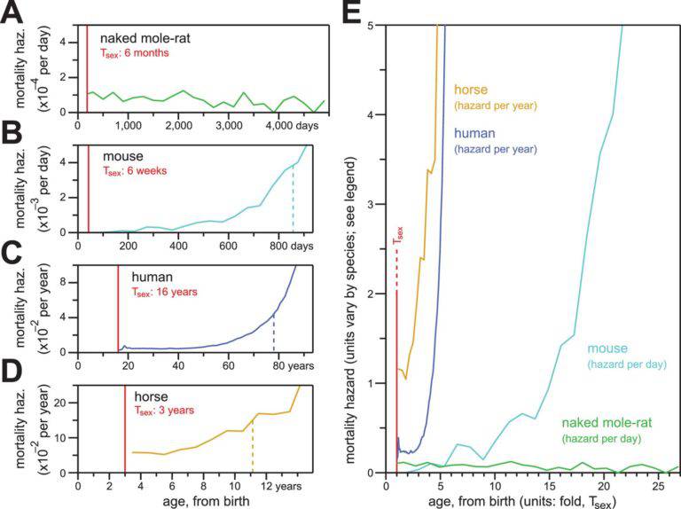 The Future Of Aging? The New Drugs & Tech Working To Extend Life & Wellness - CB Insights Research