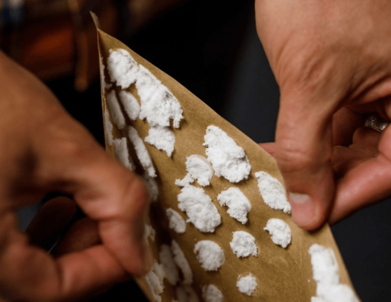 Ecovative Design - Products, Competitors, Financials, Employees ...