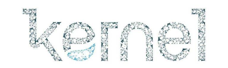 21 Neurotech Startups: Brain Technology, Implantables, and ...