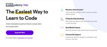 7 Surprising Industries Turning To Subscription Business Models | CB ...