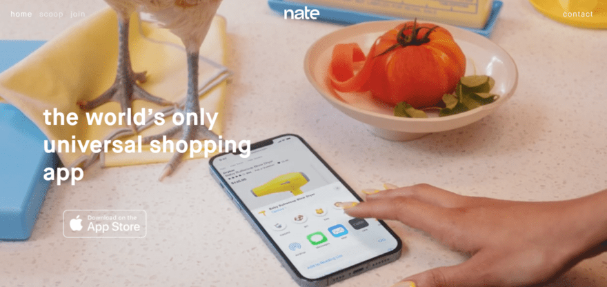 Renegade Partners-Backed Nate Raises $38M For Its Universal Shopping ...