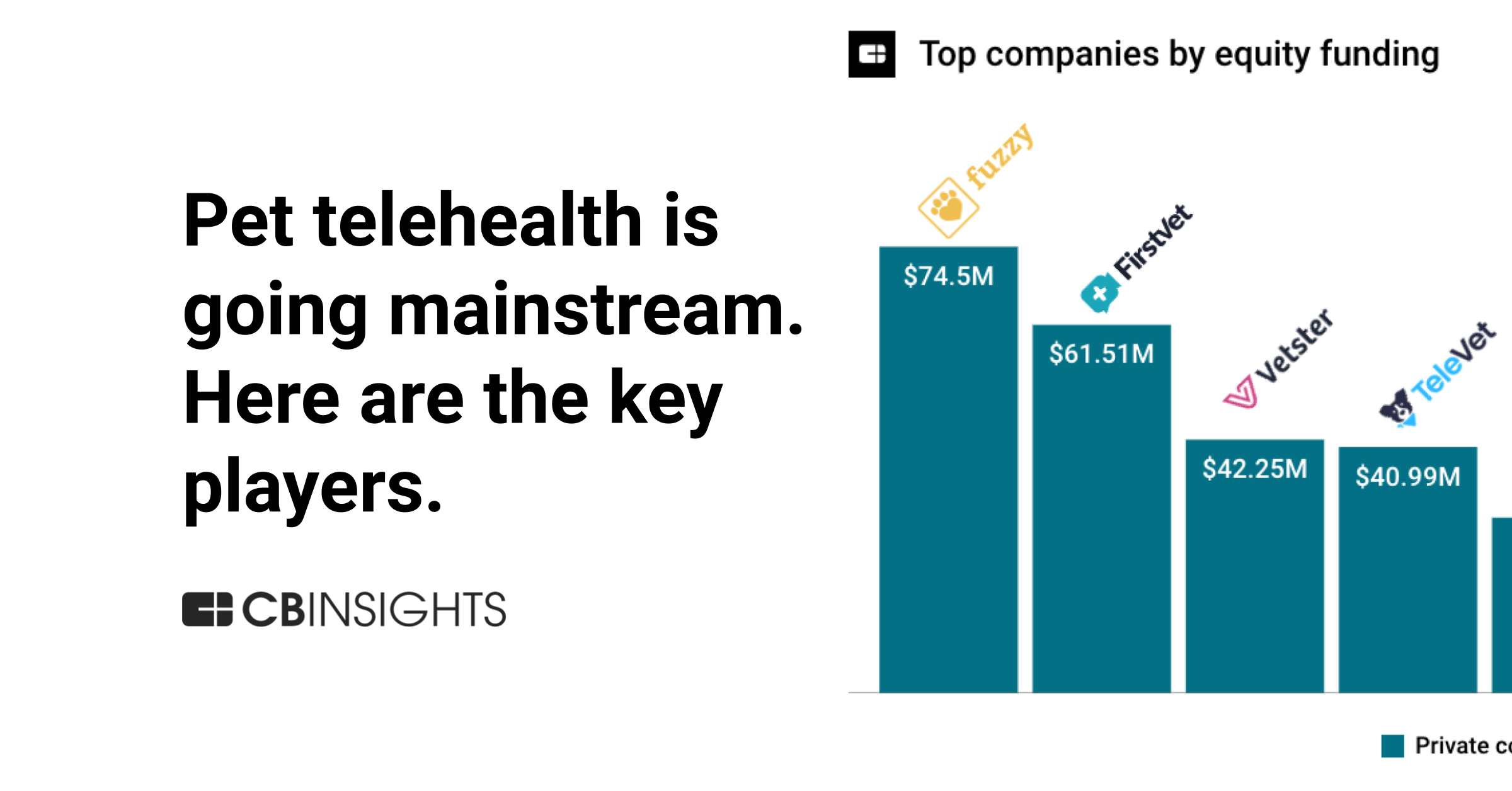 Pet telehealth is going mainstream. Here are the key players in remote ...